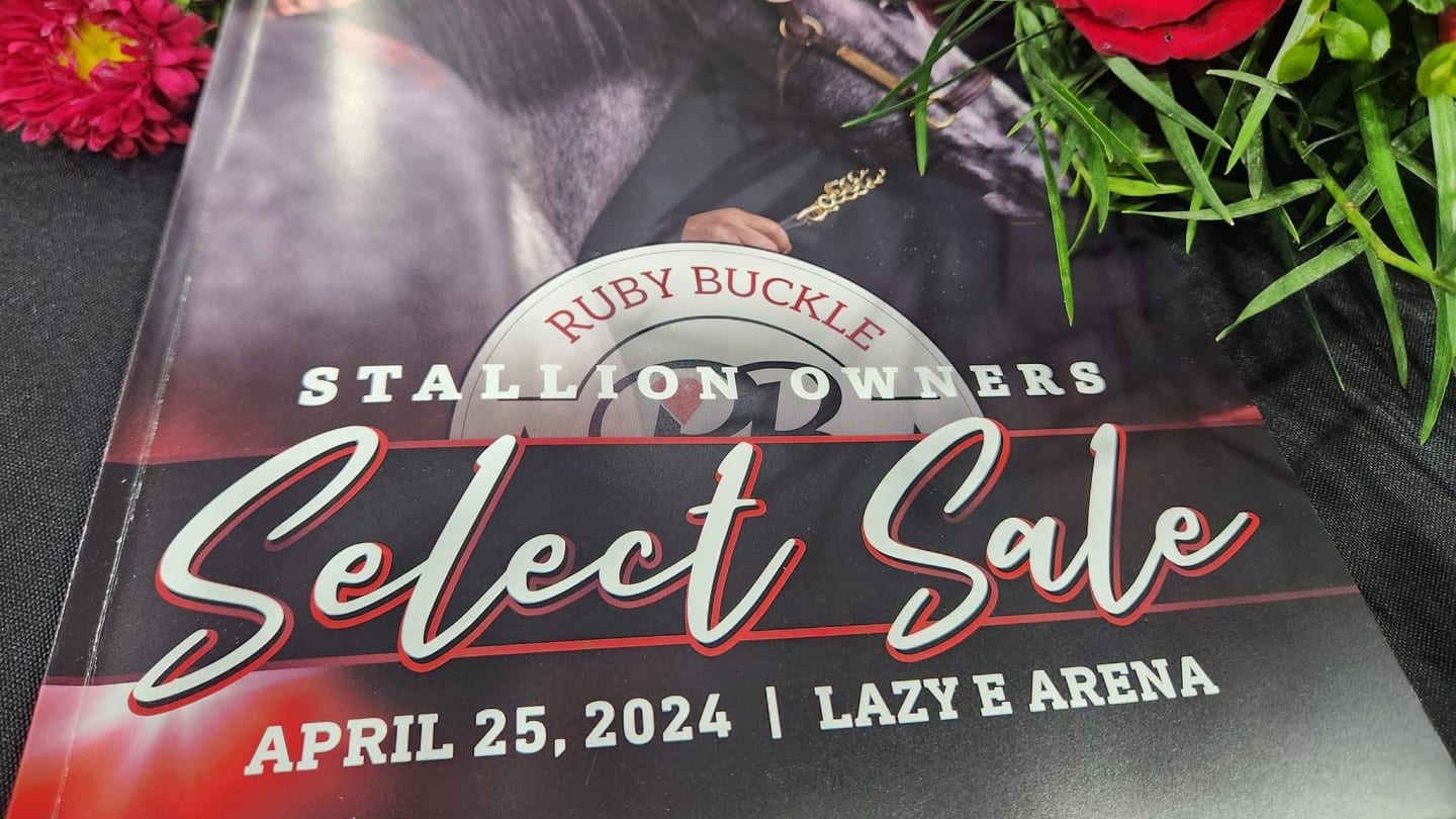 Top Stallion Brings $100K at Ruby Buckle Select Sale