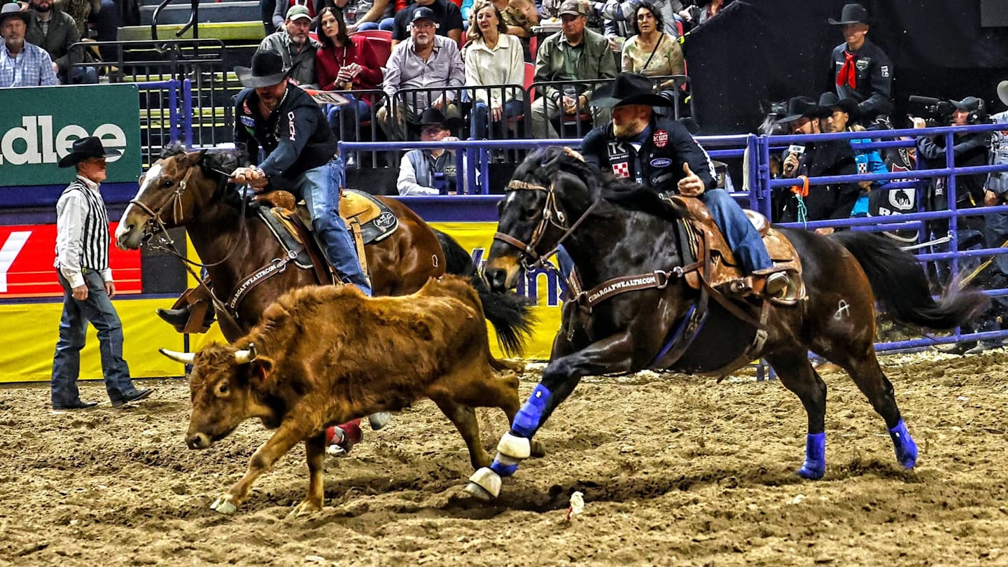 Equine Superstar Carries Half the Field to The American Rodeo Final Round