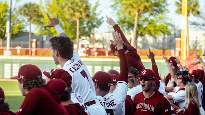 Gamecocks baseball ranks among top five in attendance for 2025