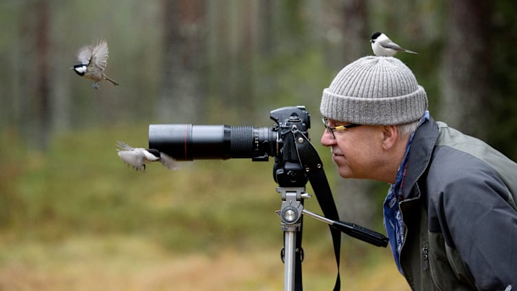20 Best Cities for Birdwatching
