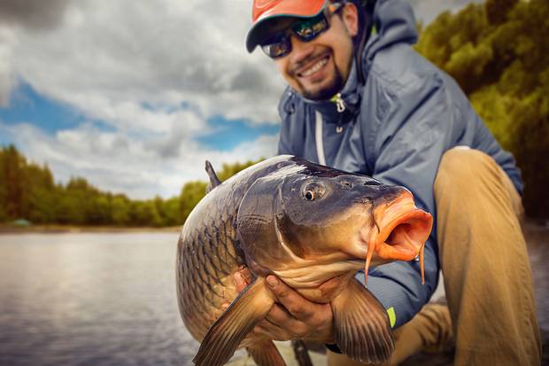 Knockout Carp Fishing Techniques | Best Baits, Rigs, and Spots