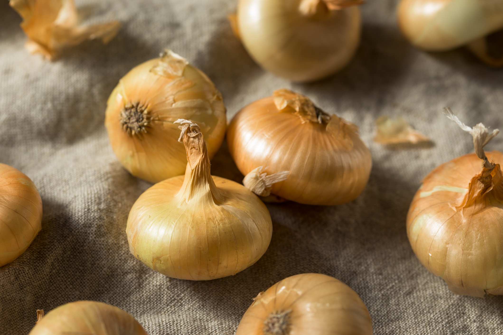 yellow or brown onion