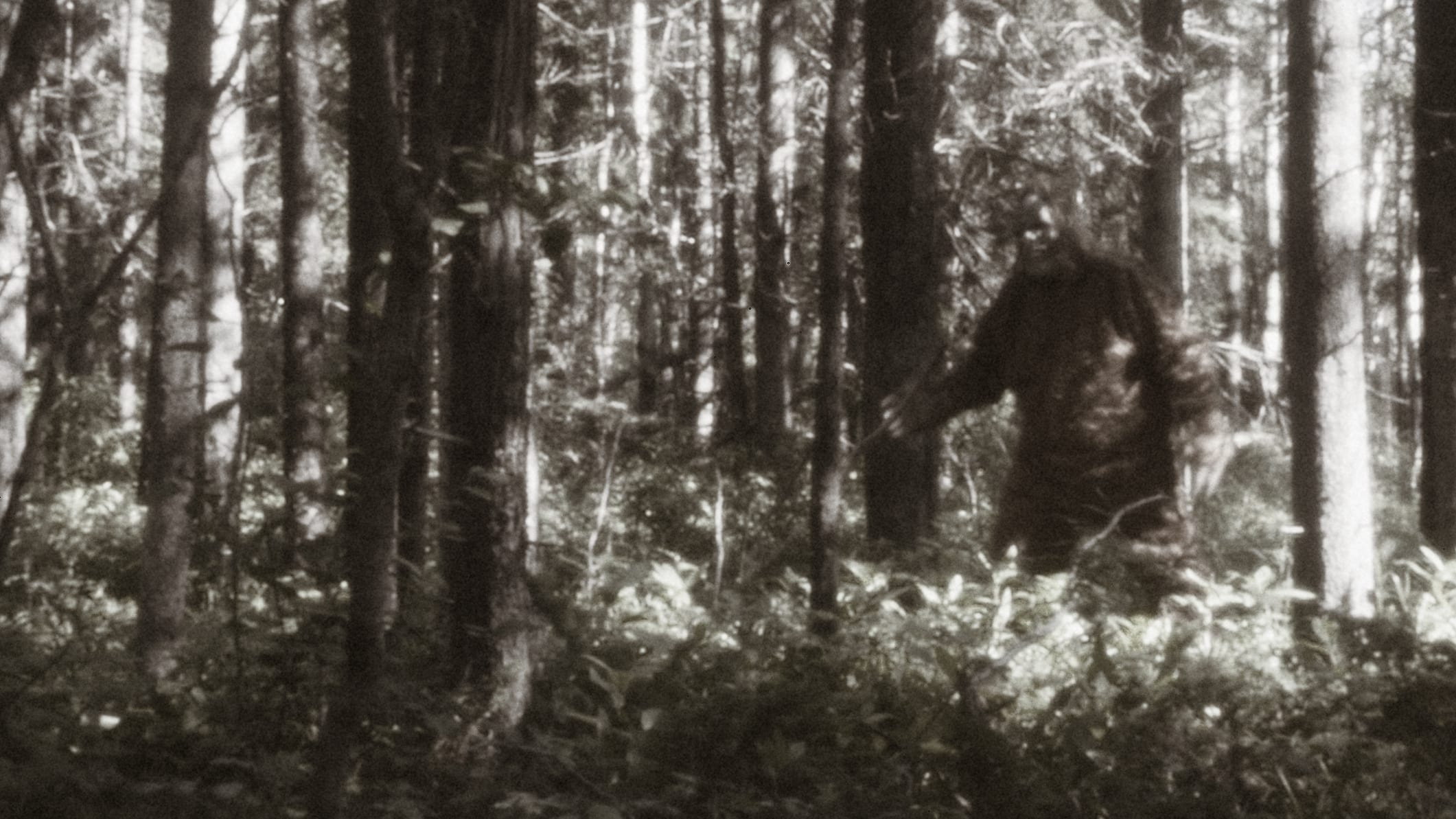 real creature sightings