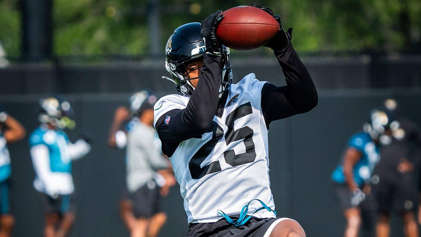 What Drew the Jaguars to Rayuan Lane
