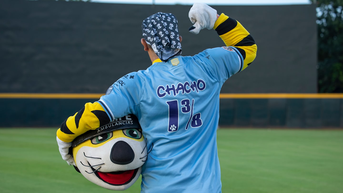 Liga Mexicana de Beisbol: Gabriel Jiménez y el arte de ser el Tigre Chacho