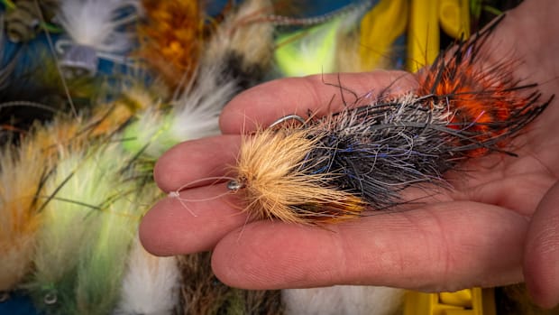 Grand Rapids Smallmouth Bass: A Great City and an Exceptional Fishery