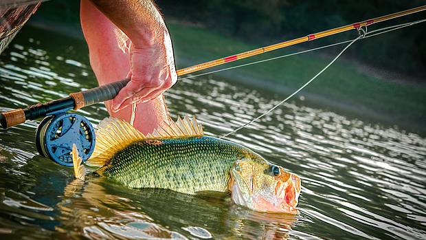 Bass Fishing Lake El Salto in Mexico: A Magical Lake With Big Fish