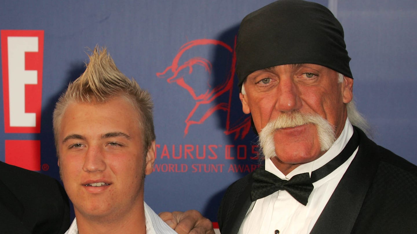 Hulk Hogan's Son, Nick Hogan, Has Probation Plea Deal Approved By Judge