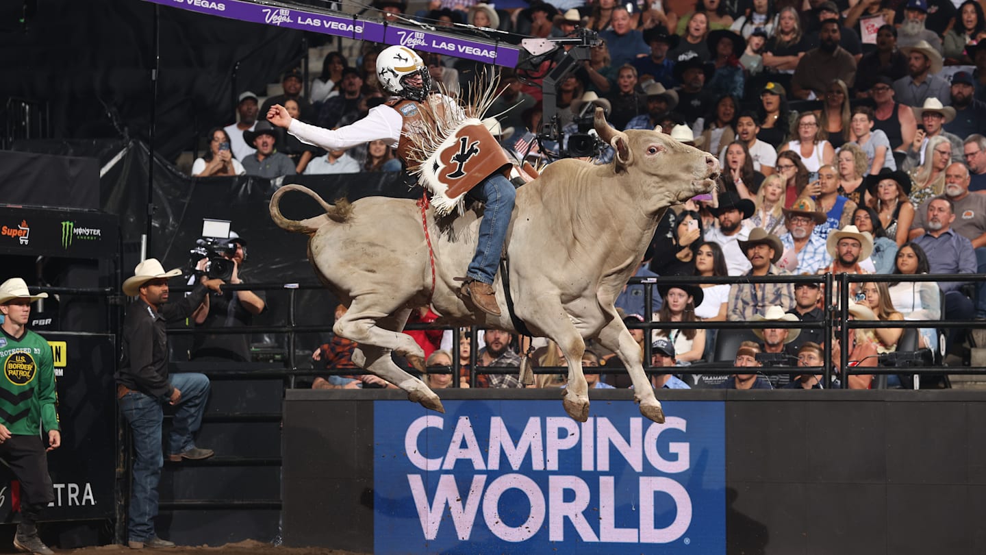 Riding Percentages in Professional Bull Riders Teams Are Soaring