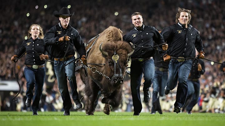 When Will Colorado Buffaloes' New Mascot Ralphie VII Receive Her Name ...
