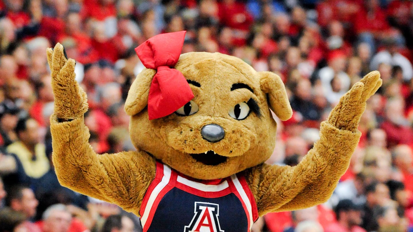 Arizona's Becky Burke Lands Massive Recruit for 2026 Class