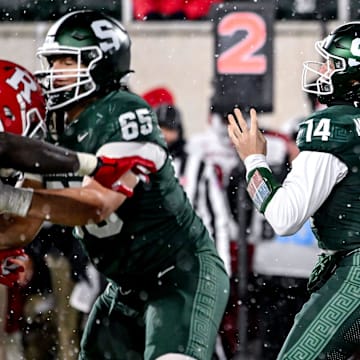 Michigan State ranked one of the best institutions in the US