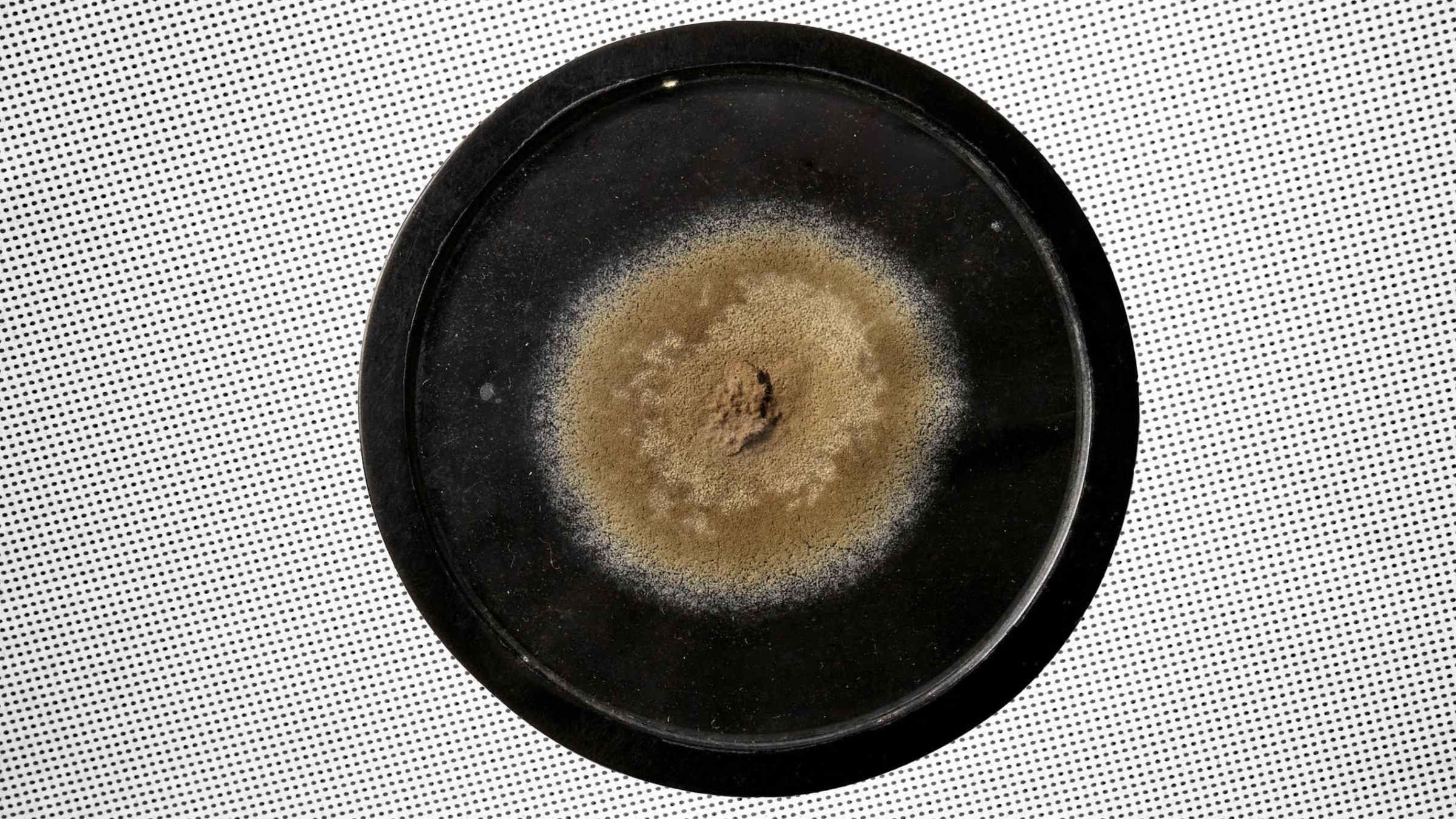 alexander fleming penicillin