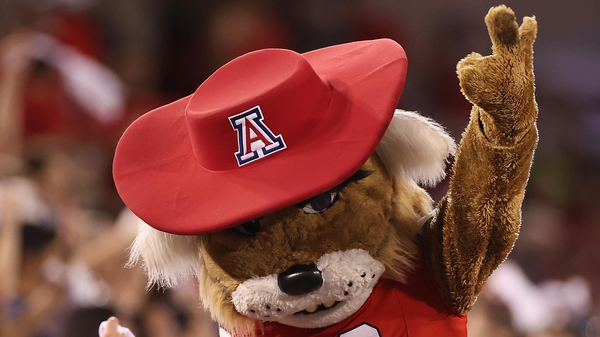 San Antonio-area athlete Sean Robinson commits to Arizona Football