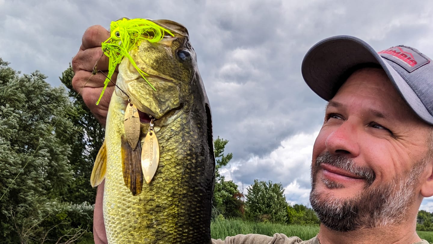 Best Spinnerbait for Bass Fishing | Blade Styles, Colors & Setup Guide