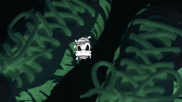 Oregon Ducks Fans Color To Wear vs. Oregon State In Autzen Stadium