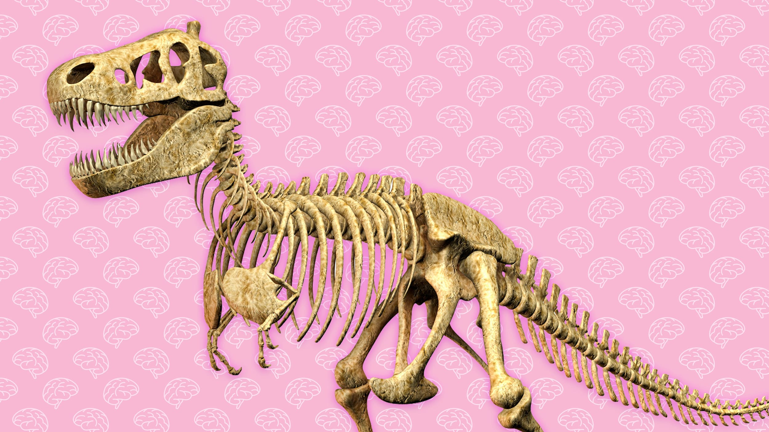 was t rex intelligent