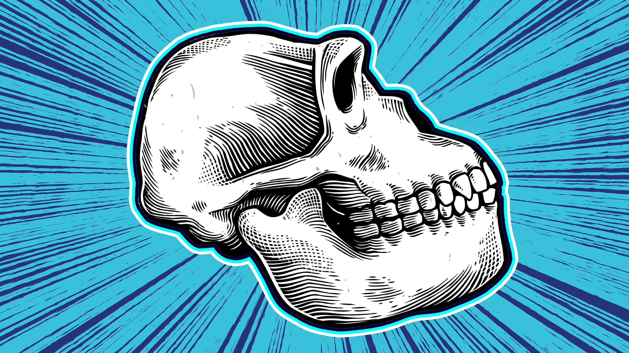 10 Famous Hominin Fossils That Changed Our Thinking About Human Origins