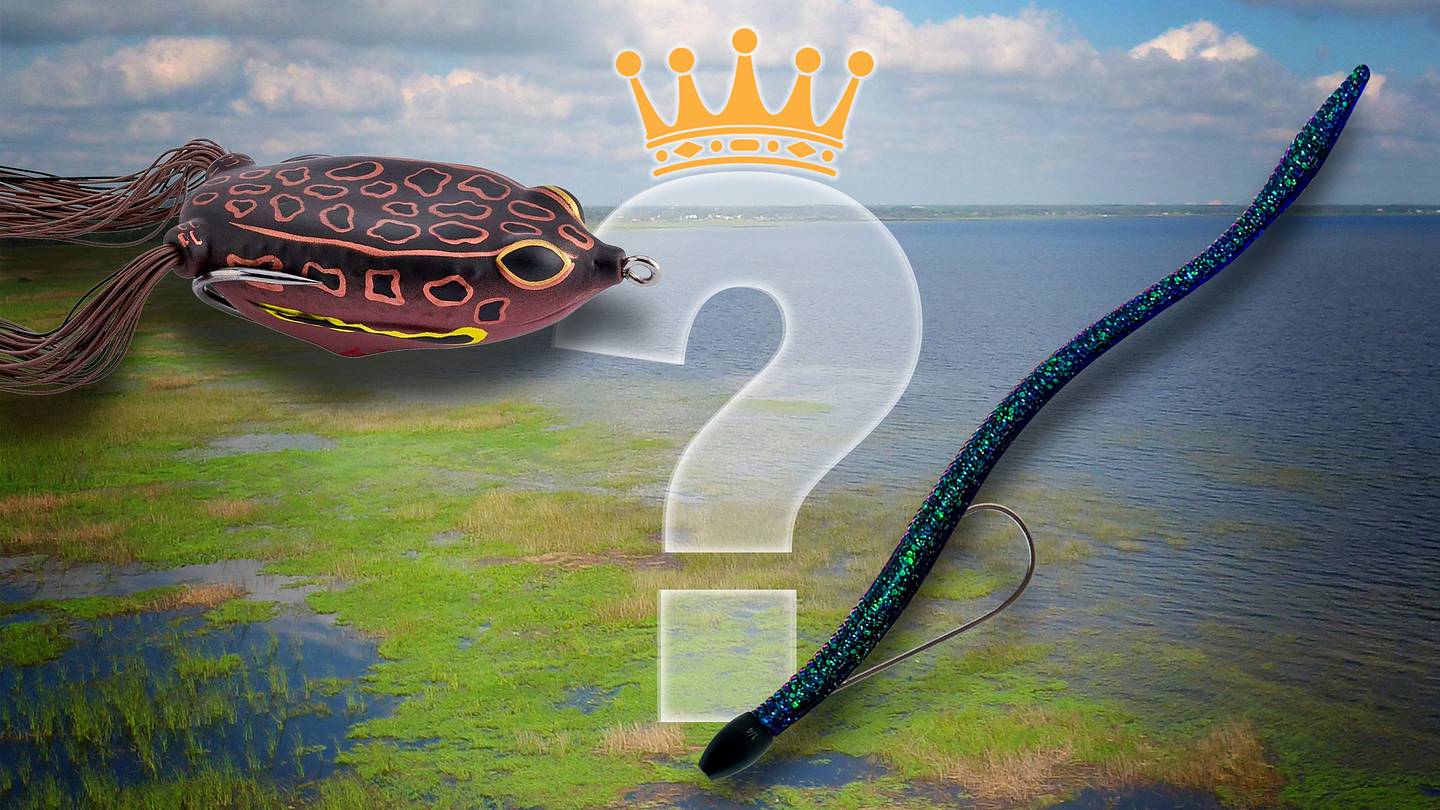 The Best Bass Fishing Lures for the Kissimmee Chain: Secrets from Local ...