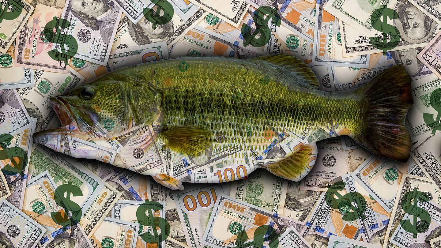 How to Secure Bass Fishing Sponsorships: Tips from Both Sides of the ...