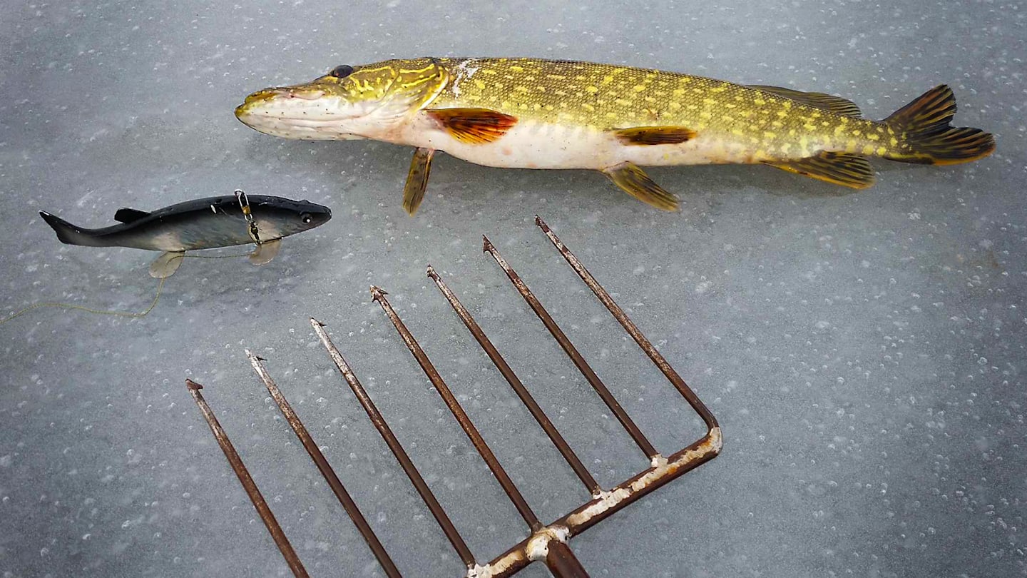 Winter Pike Spearing: Gear, Techniques, and Safety Tips for Ice Fishing Enthusiasts