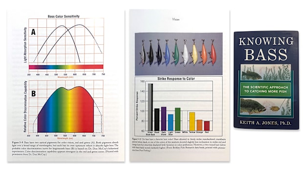Best Bass Fishing Lure Colors: Why Black and Blue Jigs Catch More Fish