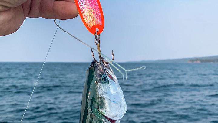 Prevent and Fix Fishing Line Twist | Pro Angler Tips