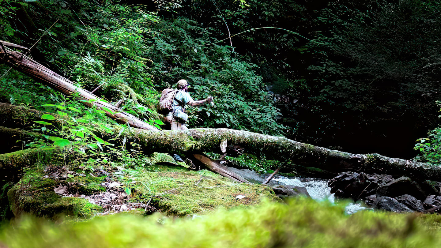 The New Fiberglass Fly Rods - A Pure Pleasure to Fly Fish With