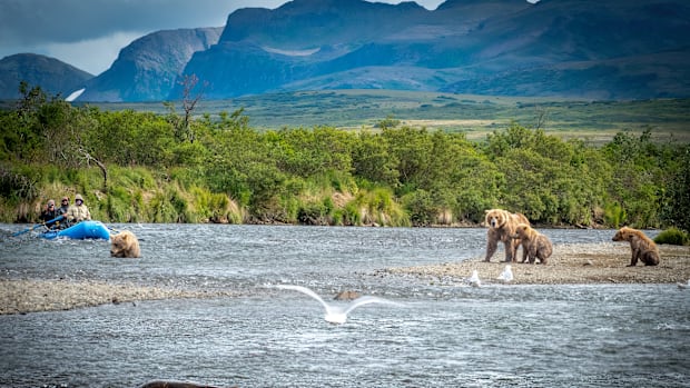 Experience an Epic Adventure of Fly Fishing, Bear Viewing, and Rafting ...
