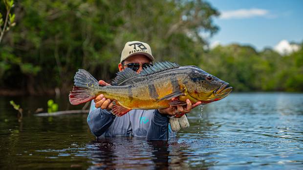 A Bucket List Adventure: Fly Fishing for Trophy Peacock Bass on Remote ...