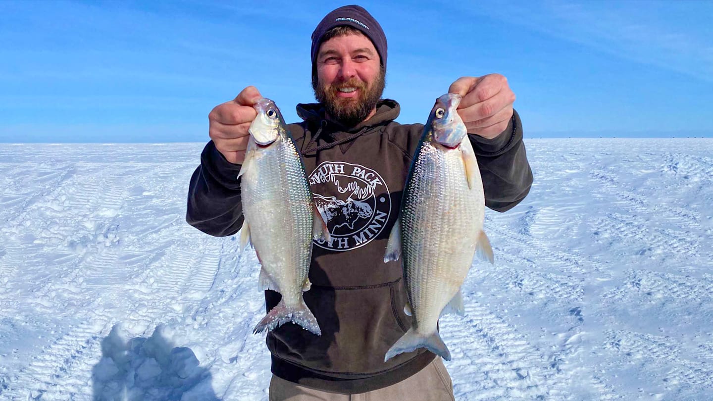 How to Ice Fish for Ciscoes: Ice Fishing Tips & Cooking Ideas