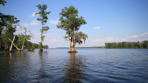 Bassmaster Elite Tour Schedule for 2025