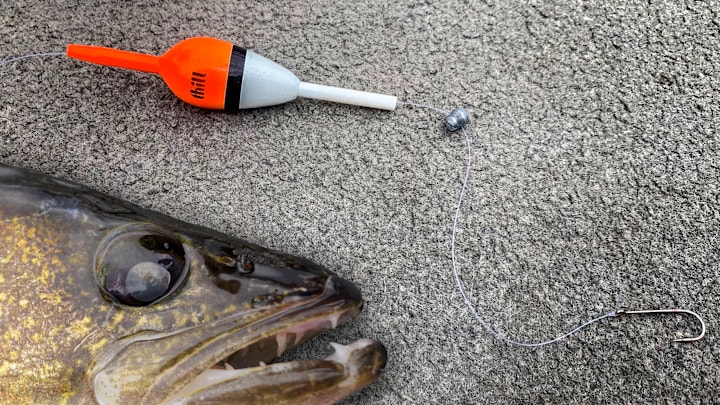How to Rig a Slip Bobber: Easy Setup Guide for Anglers