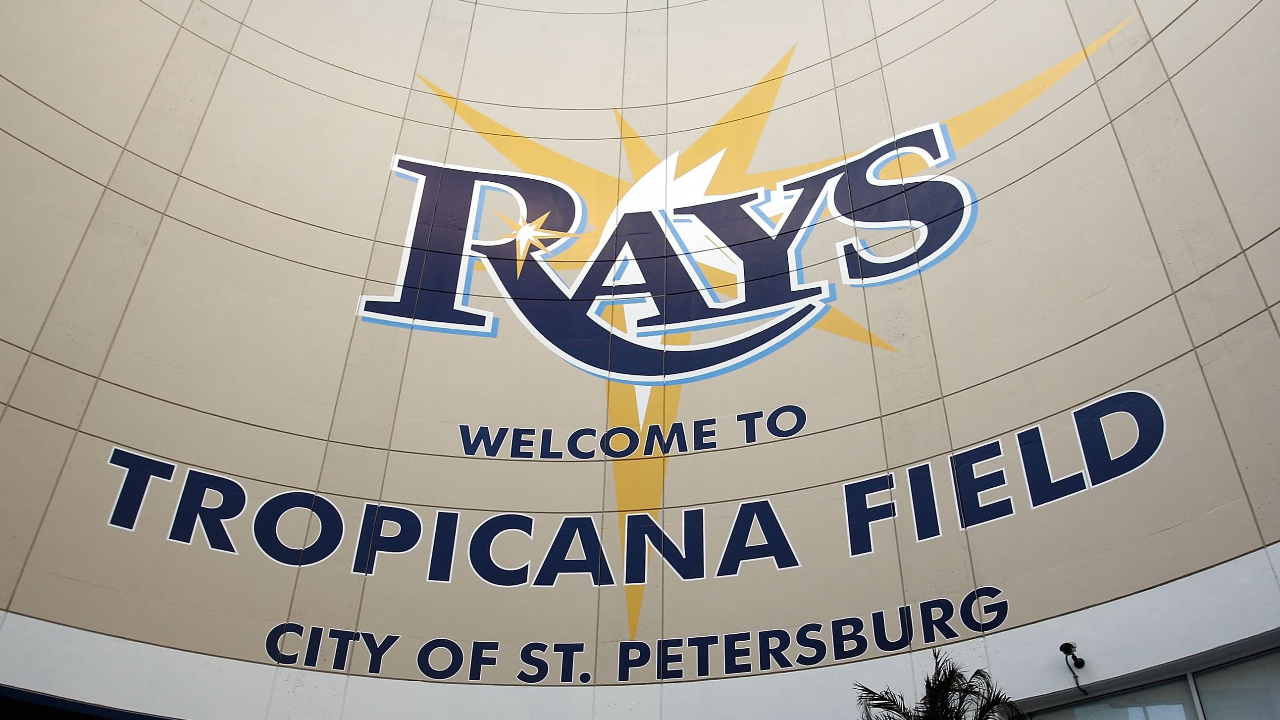 Meet Ashlee Wilson, The First Female Executive in Bowling Green Hot ...