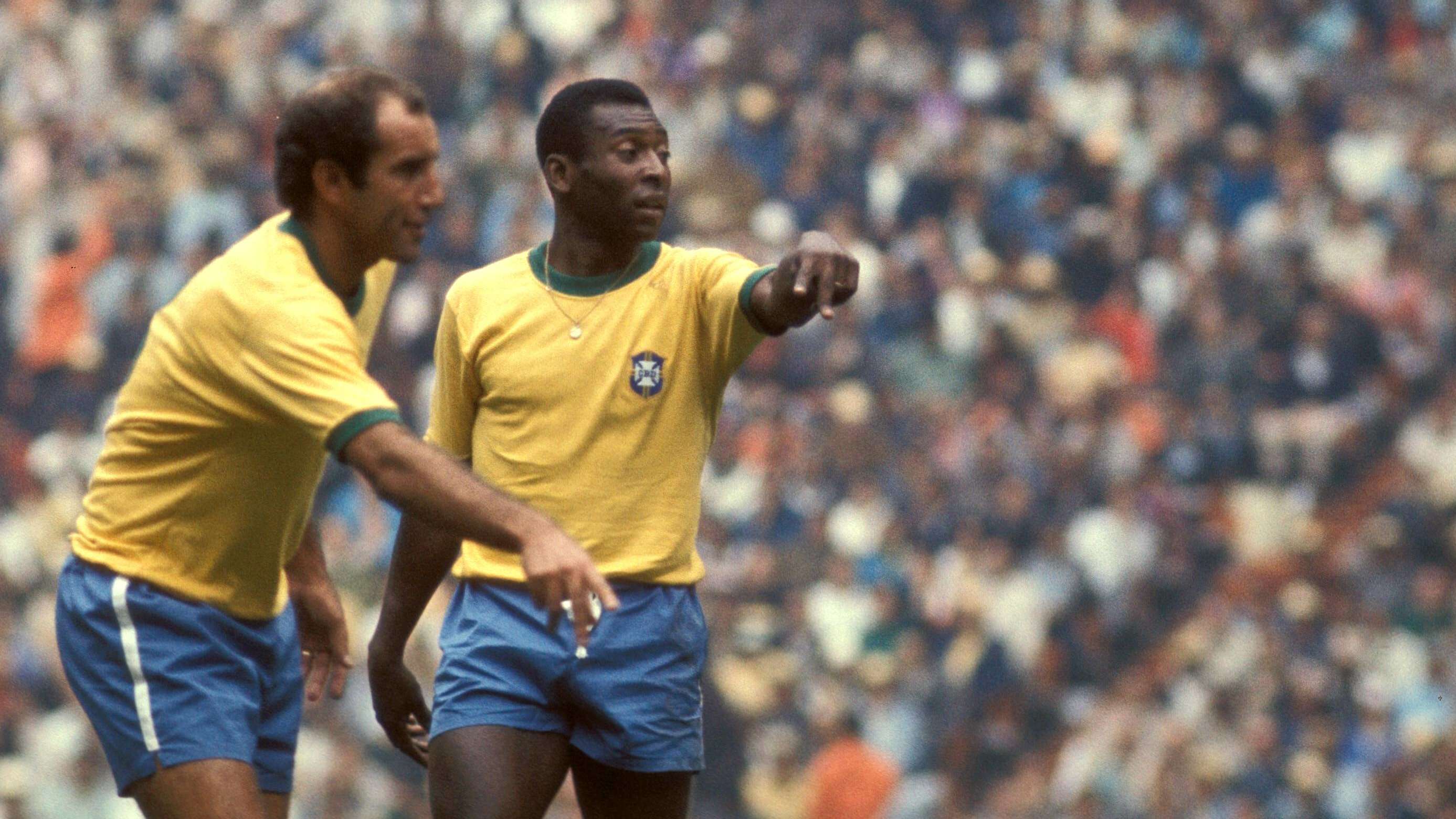 soccer player information