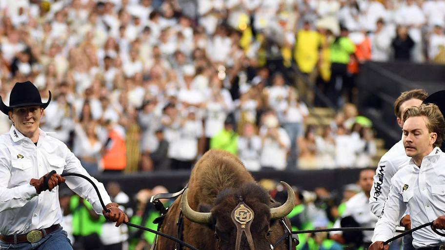 Three Reasons Why Colorado Needs a Baseball Program Immediately ...