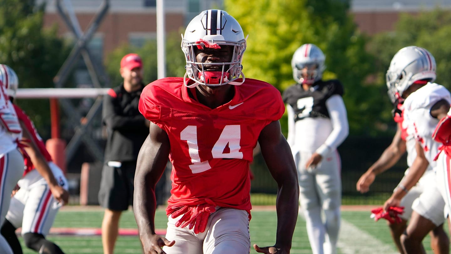 Former Ohio State Buckeyes WR Joins New Team in Transfer Portal