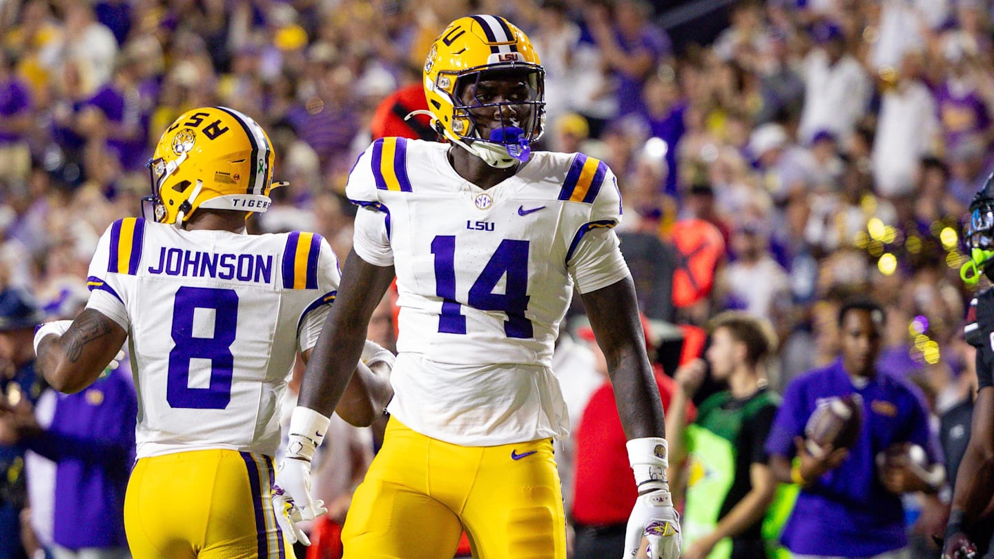 The Instant Takeaways: LSU Football Survives in 20-10 Win Over South ...