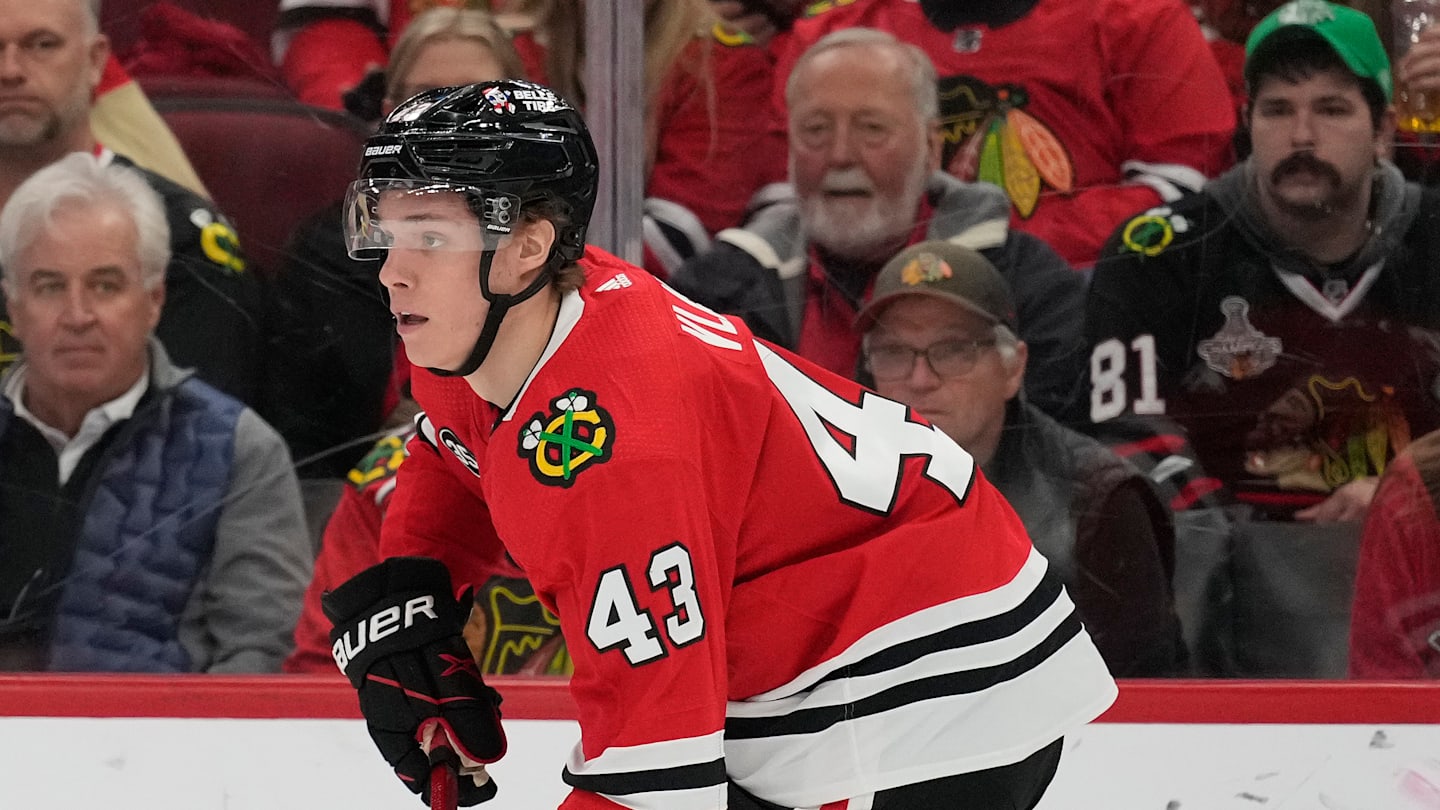 Alex Vlasic Will Prove Himself As A Top 2 Defenseman