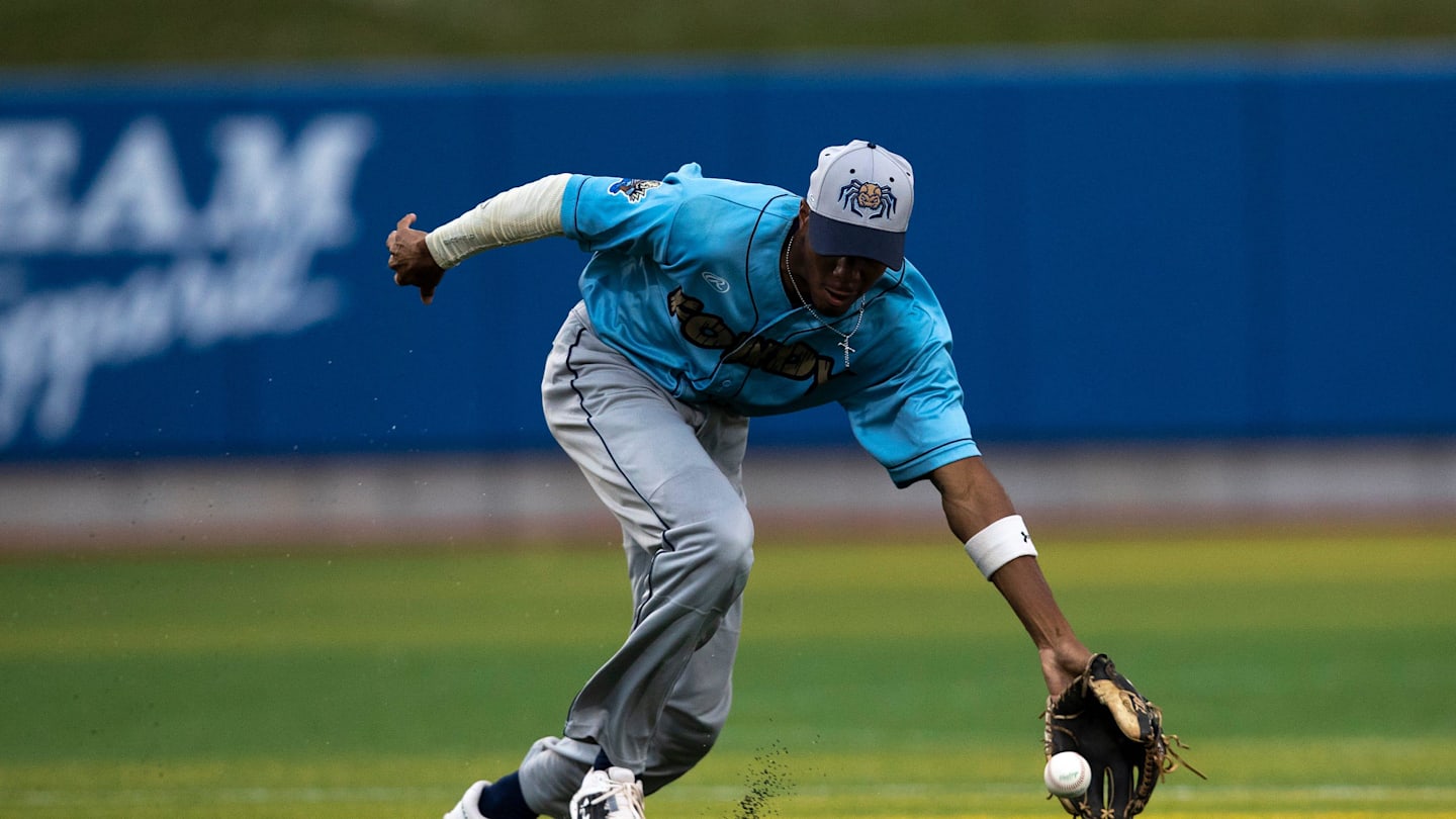 Tampa Bay Rays Minor League Affiliate to Give Away Incredible ...