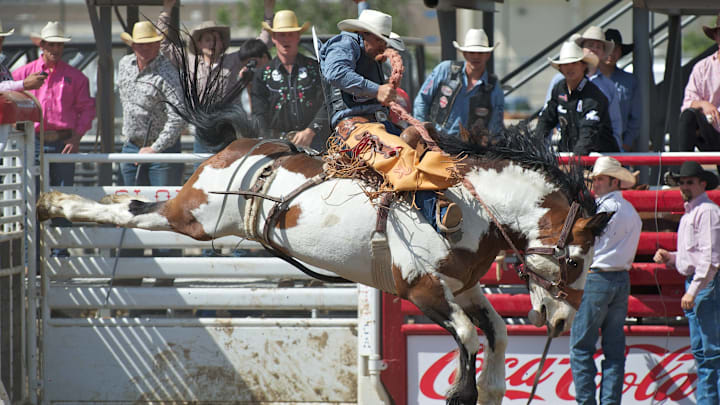 Rodeo World Mourns Loss Of 5-Time NFR Bucking Horse And Legendary Sire