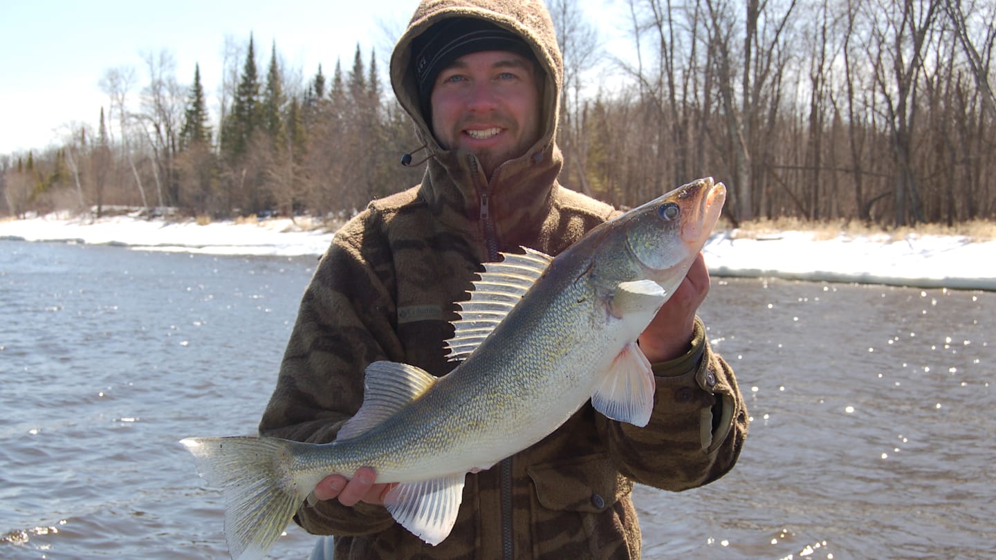 Spring River Walleye Fishing | Best Tips & Tactics