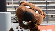 Athletics - Oregon State Beavers On SI - Sports Illustrated