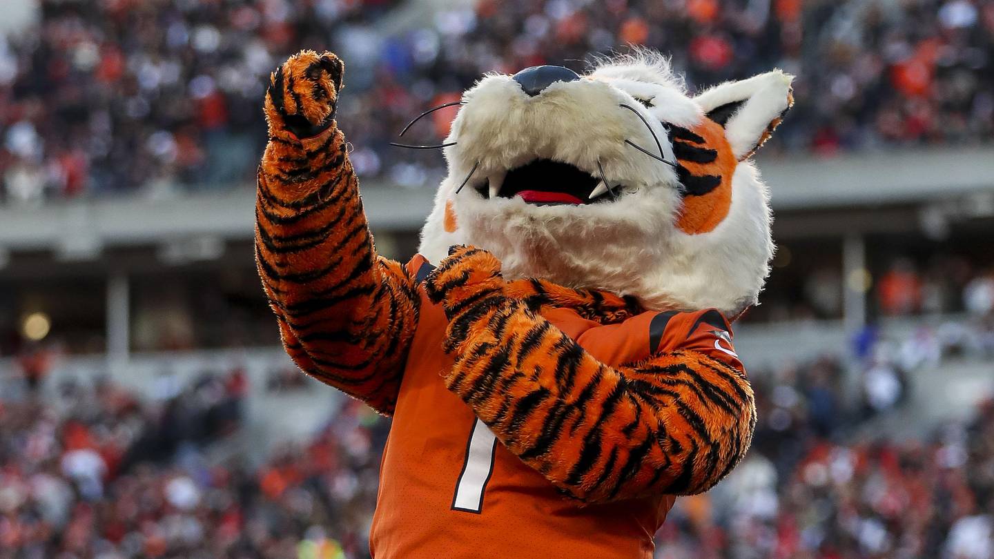 Cincinnati Bengals Announce Global Markets Program in Foreign Country