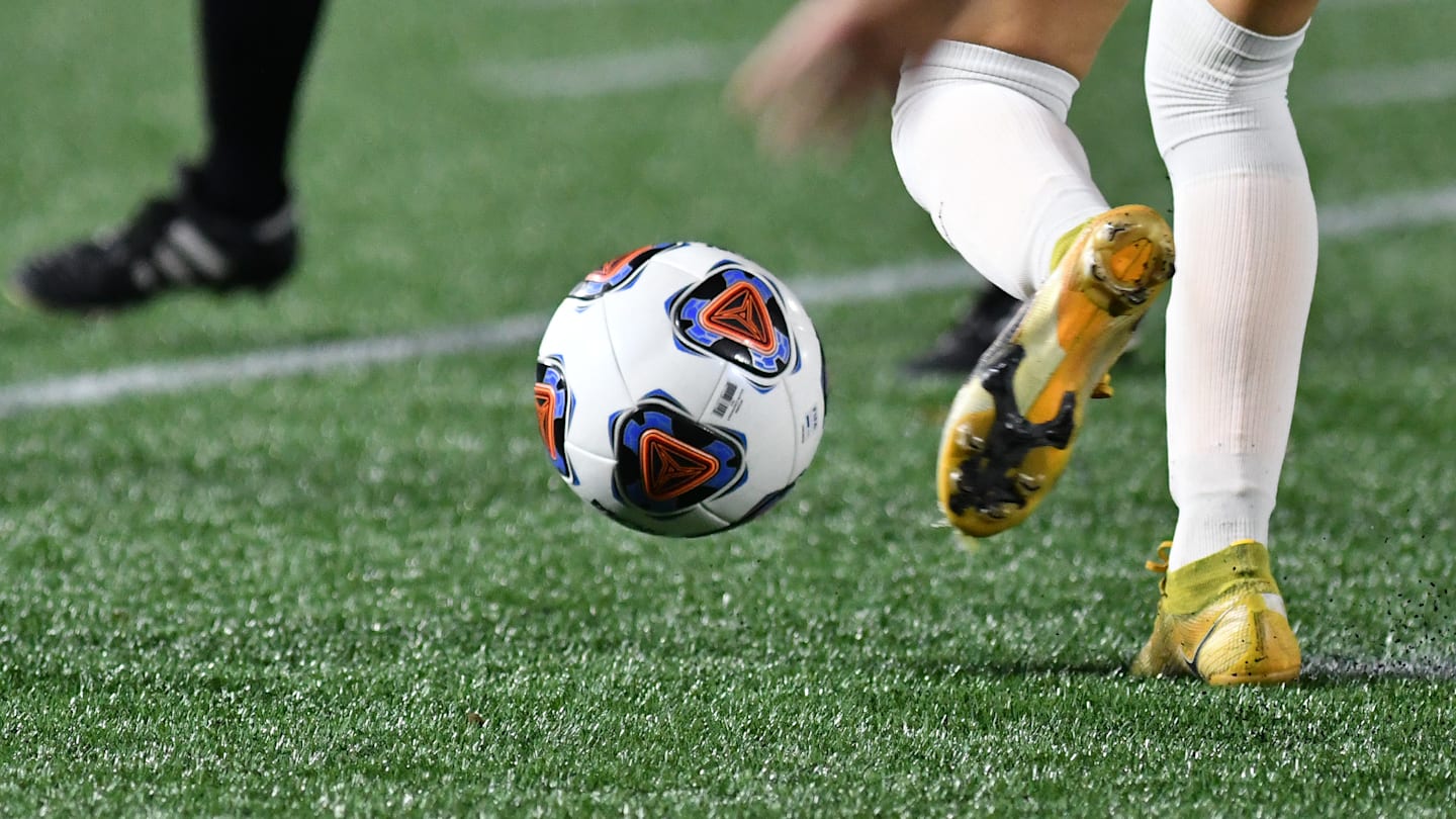 Vote for top star of 2024 Oregon high school girls soccer state ...