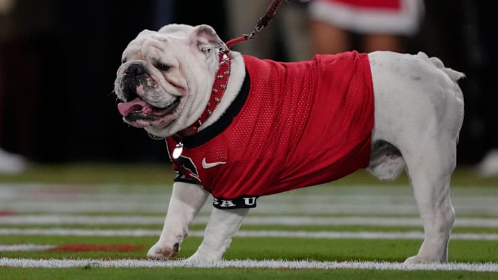 LIVE UPDATES: Georgia Bulldogs vs Ole Miss Rebels - Key Moments and Big ...