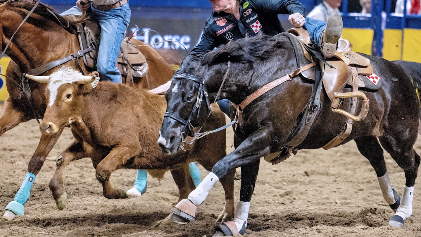 NFR Rookie Steer Wrestling Horses Carry Their Cowboys to the Pay Window