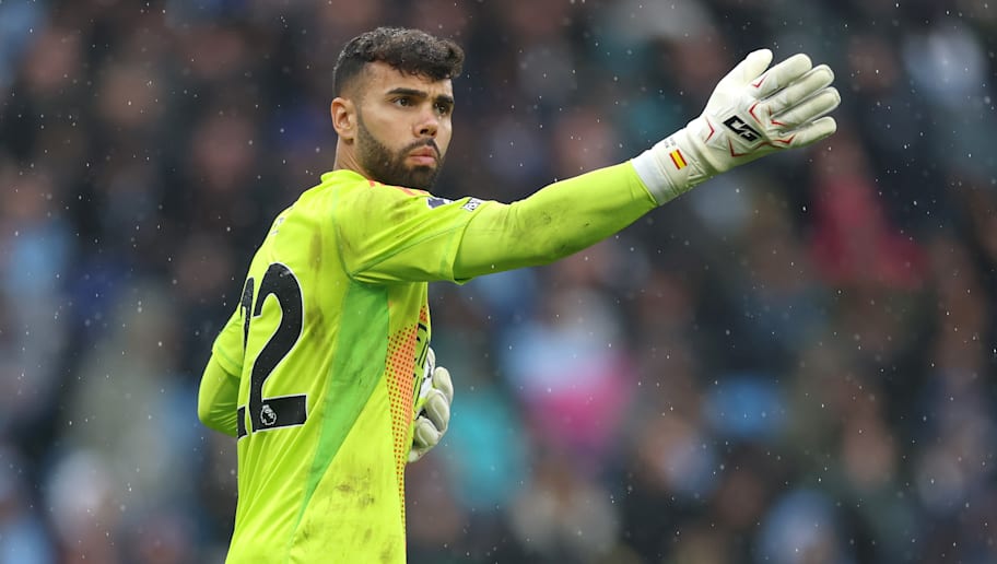 David Raya injury update: Progress and potential return date