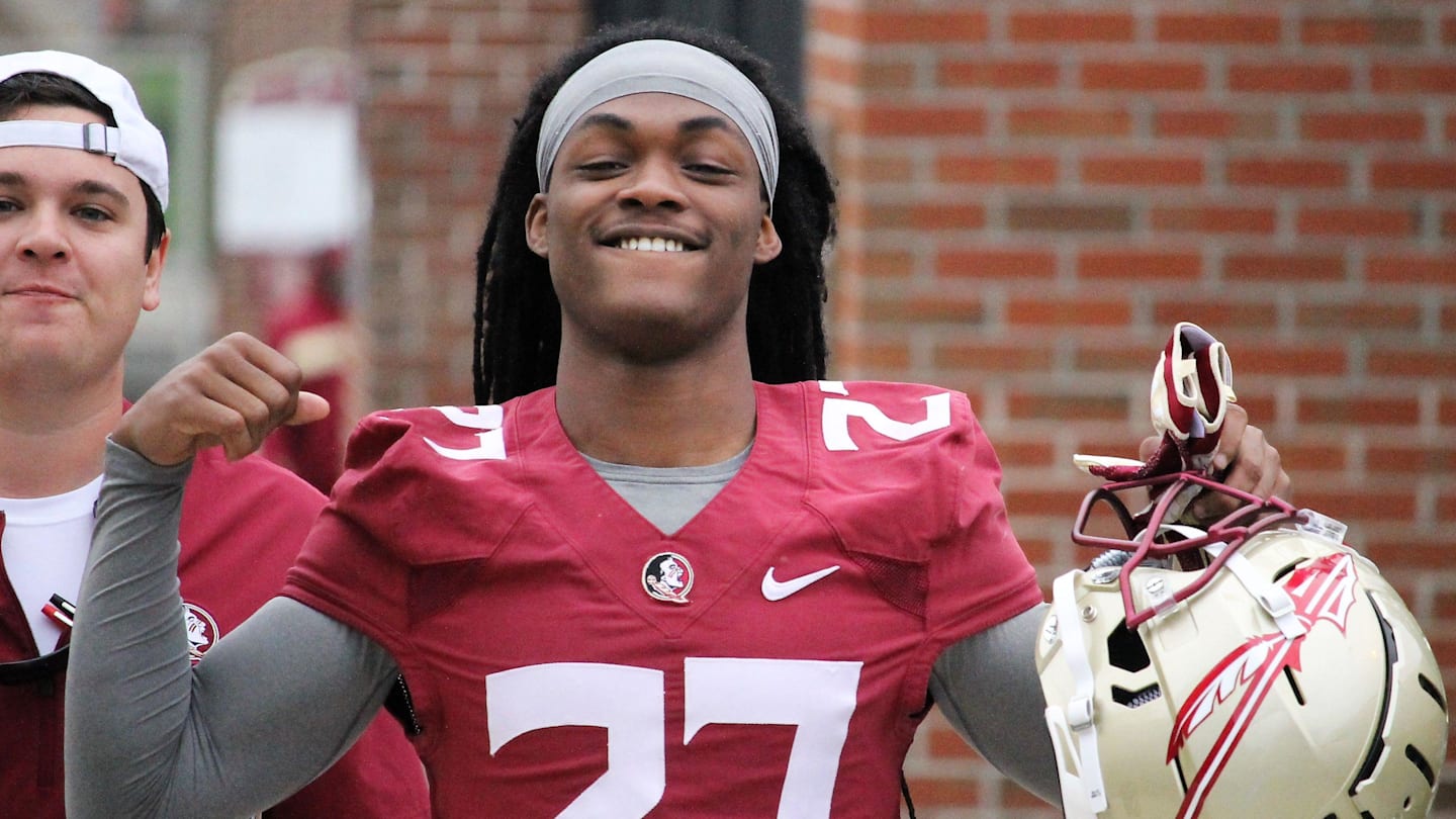 Former FSU Football safety makes final roster with Michigan Panthers