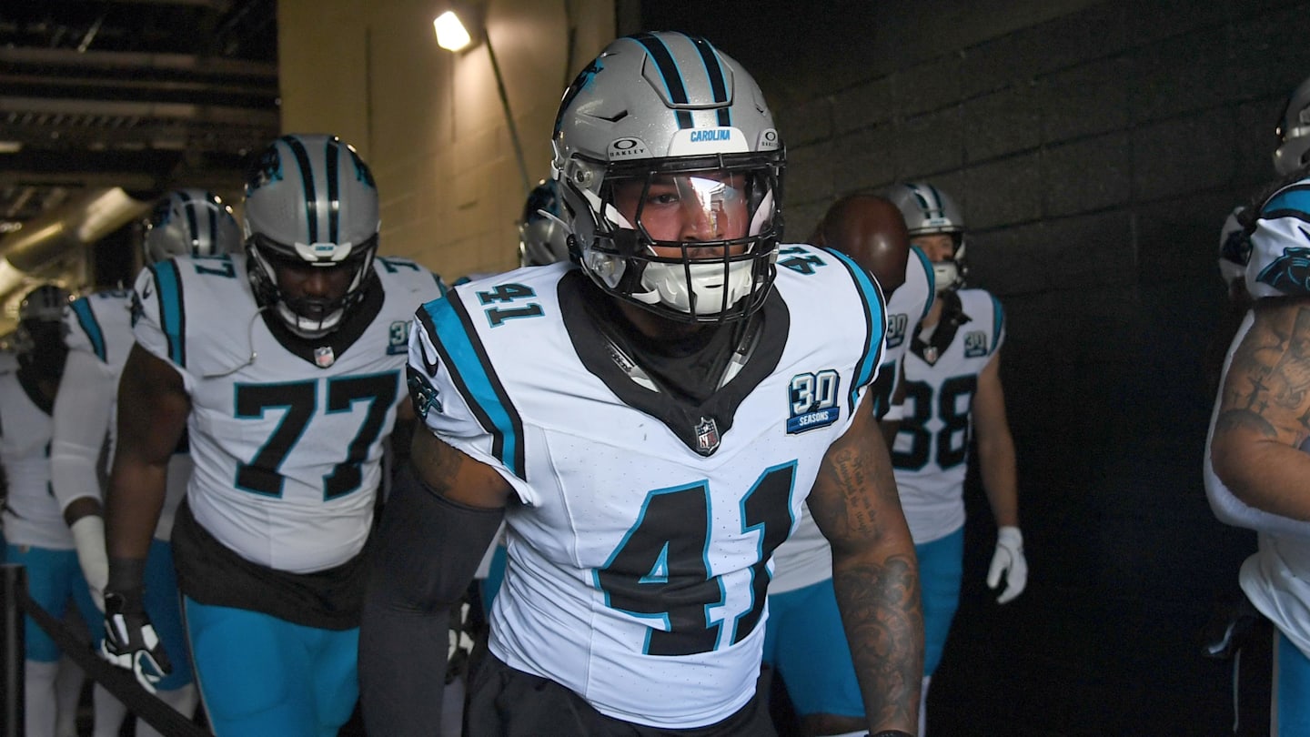 Pittsburgh Steelers Sign Another Former Panthers LB